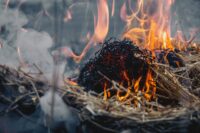 Exploring the Burned Haystack Dating Method - Global Dating Insights